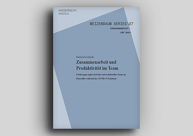 Team Collaboration and Productivity: Weizenbaum Institute